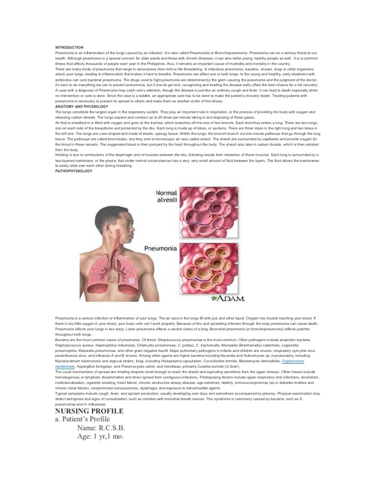 Introduction Acute Bronchitis | PDF | Bronchitis | Pneumonia