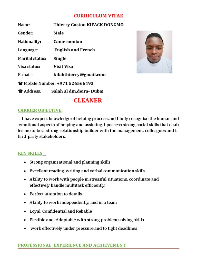 Thierry Cleaner cv | PDF