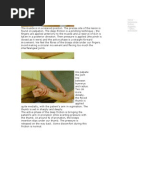 SFMA Score sheet.pdf | Anatomical Terms Of Motion