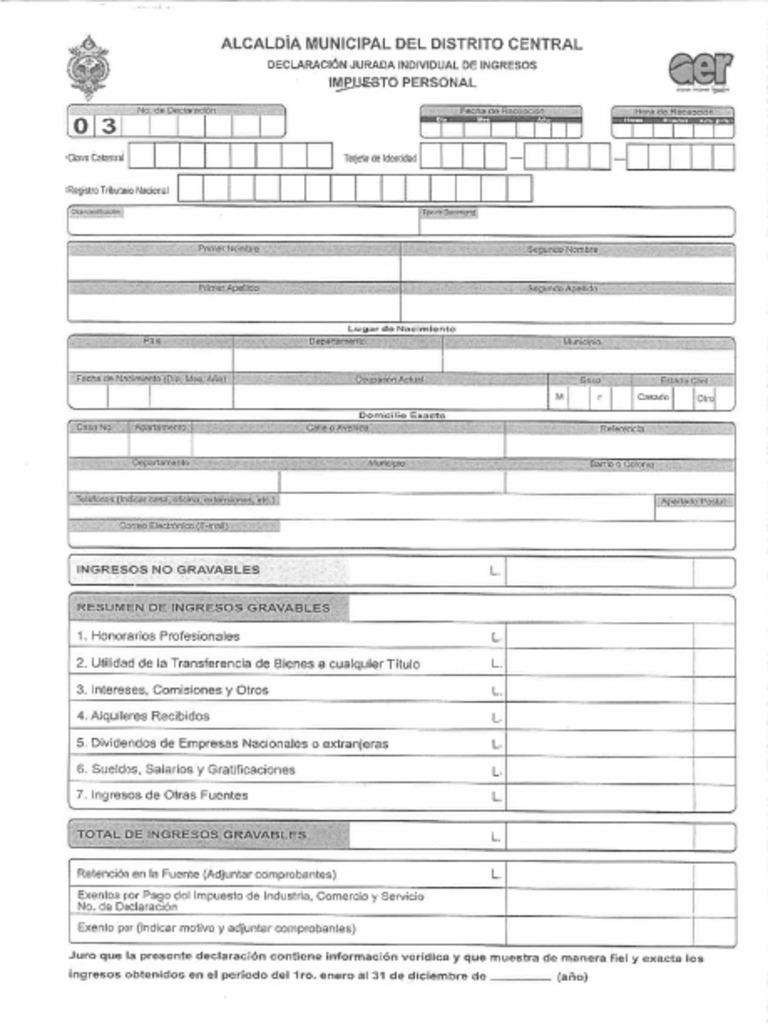 Formulario Solvencia Amdc | PDF