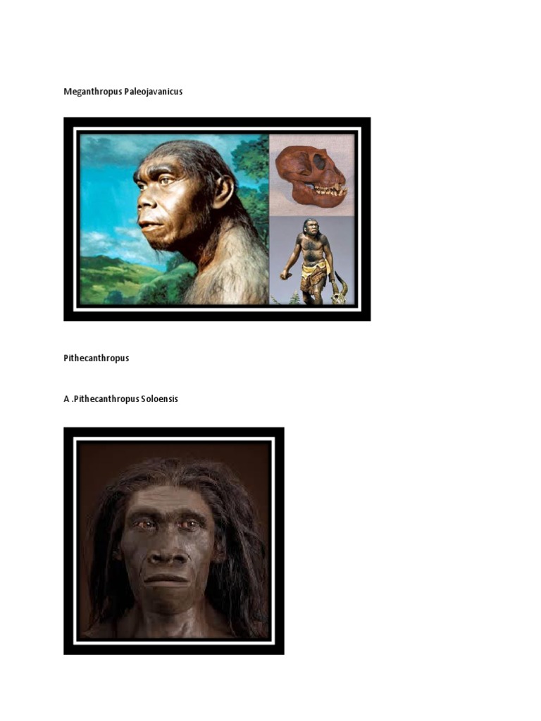 Contoh Makalah SMP | PDF