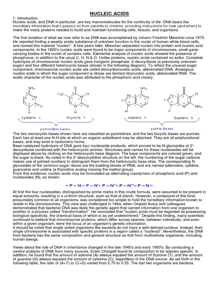 Nucleic Acids MODULE | PDF | Rna | Messenger Rna