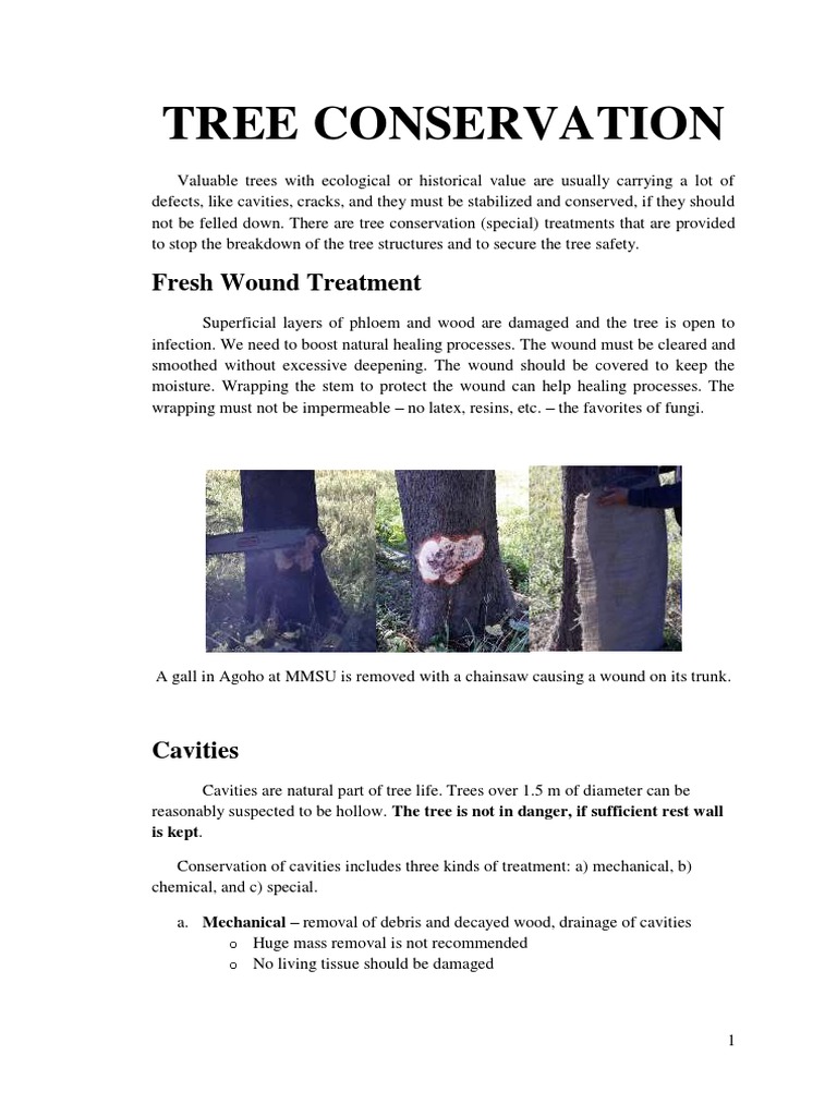 Tree Care for Conservationists | PDF | Trees | Wood