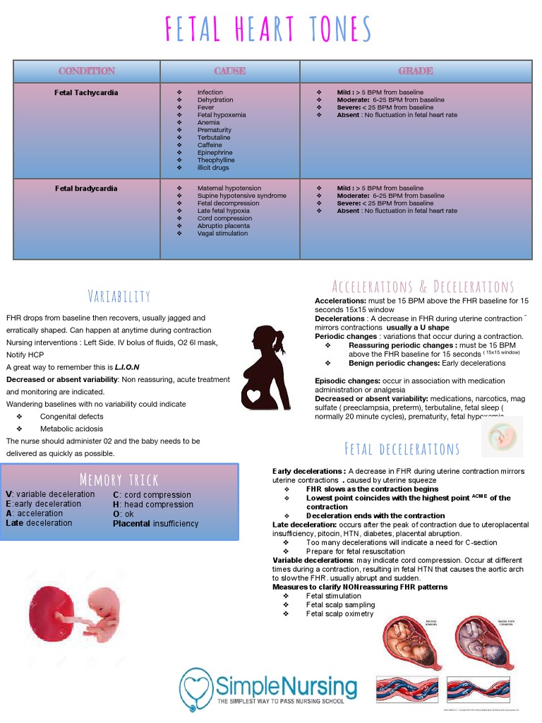 Fetal Heart Tones | PDF | Heart Rate | Diseases And Disorders