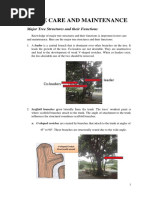 Bridge Grafting and Inarching Damaged Fruit Trees | PDF | Grafting | Trees