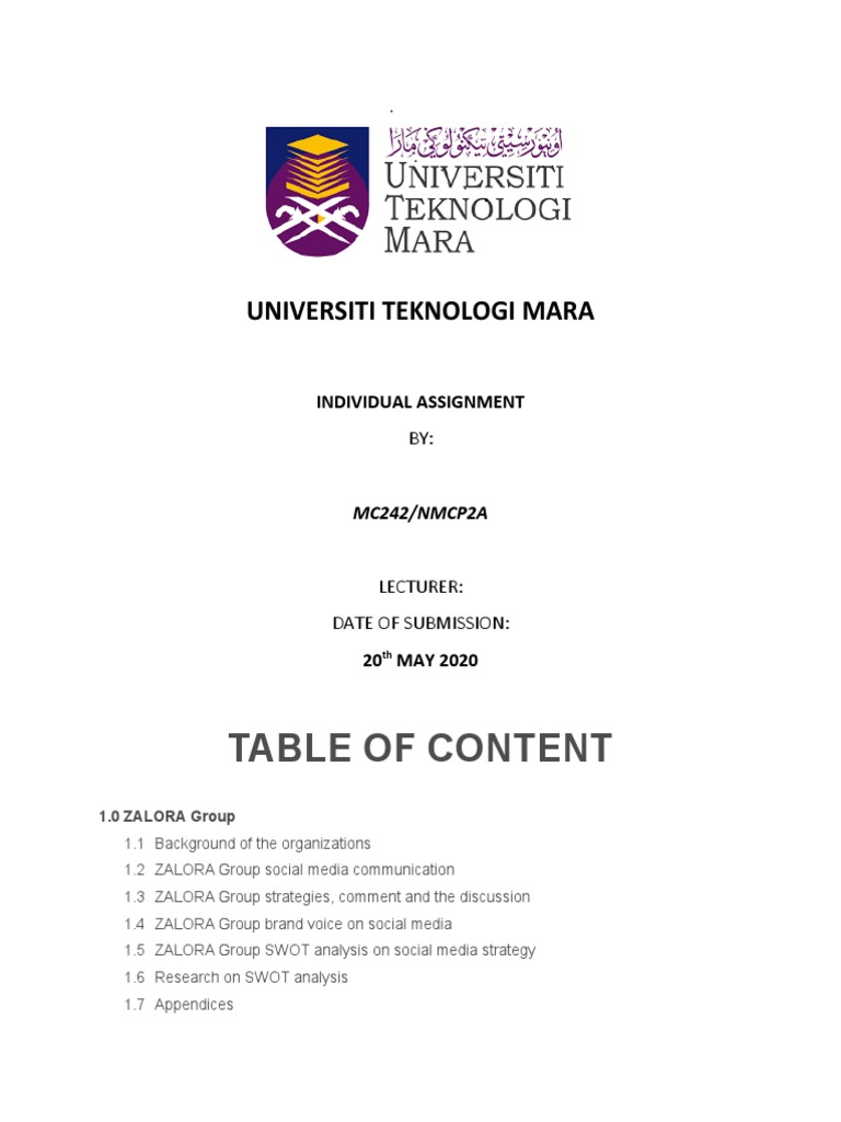 Assignment Individu | PDF | Popular Culture & Media Studies | Social Media