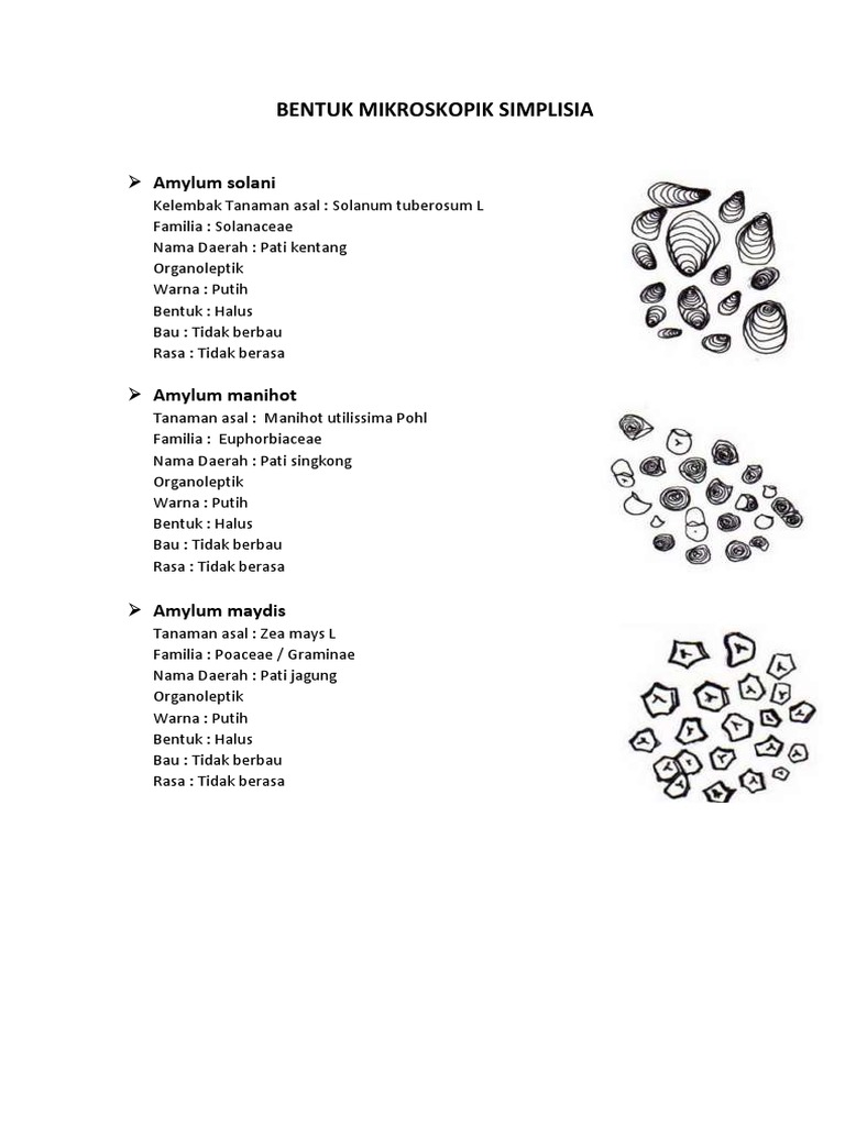 Bentuk Mikroskopik Simplisia | PDF