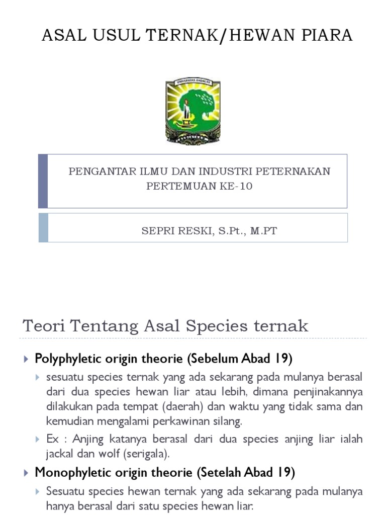 Kuliah Ke 10 ASAL USUL TERNAK | PDF