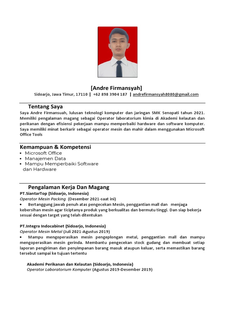 Contoh CV Fix | PDF
