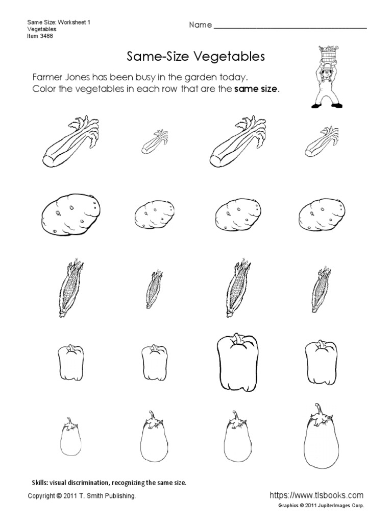 Same Size Vegetables | PDF | Wellness