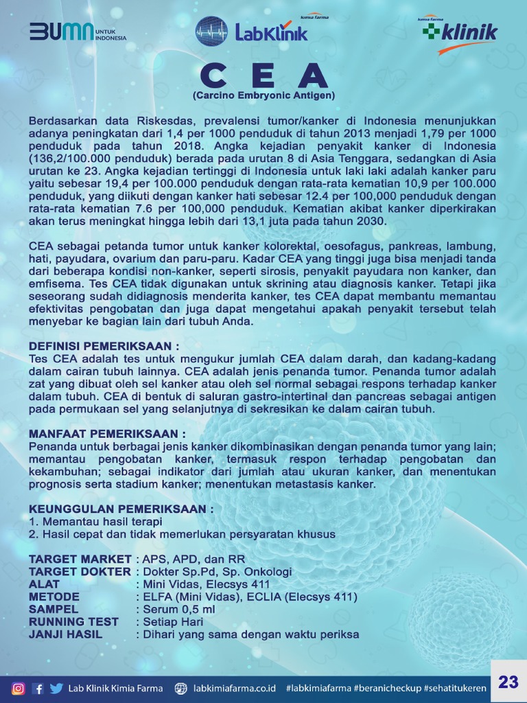 Cea Pdf