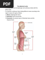 Chapter 8. Serous Membranes of The Abdominal Cavity | PDF | Peritoneum ...