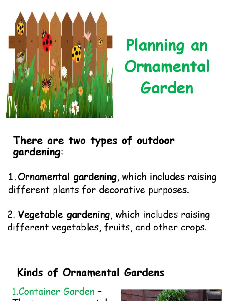 Presentation Grade 4 | PDF | Perennial Plant | Oregano