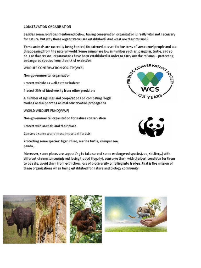 Key Wildlife Conservation Organizations | PDF