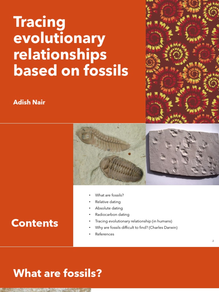 Tracing Evolutionary Relationships Based On Fossils | PDF | Fossil | Radiocarbon Dating