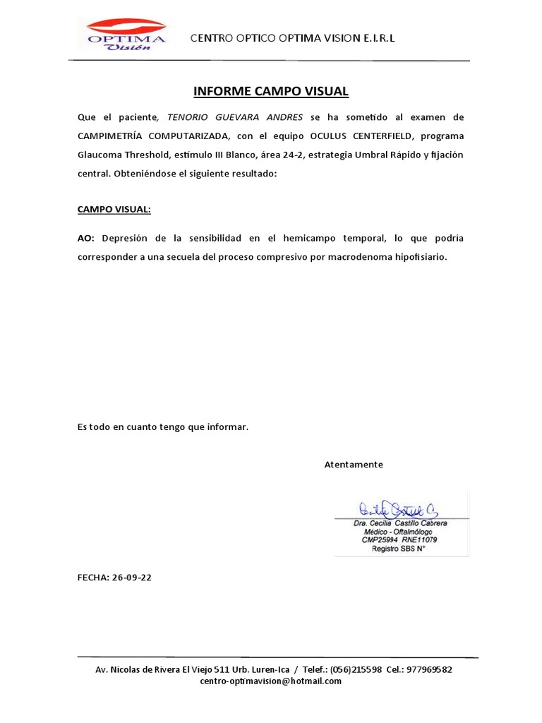 Informe Campo Visual Tenorio Guevara Andres | PDF