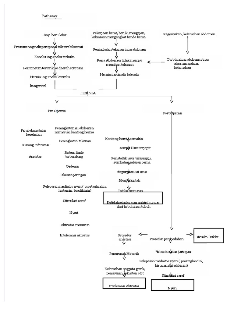 PDF Pathway Hernia | PDF