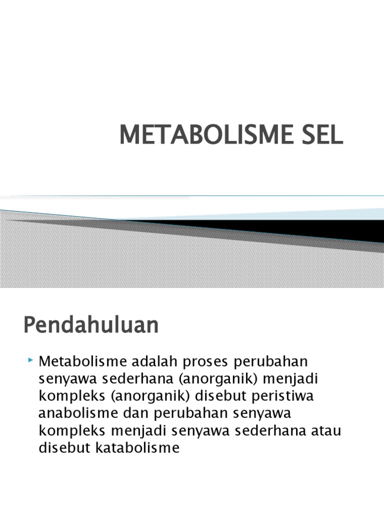 Metabolisme Sel dan Fungsi Organel | PDF | Griya & Taman