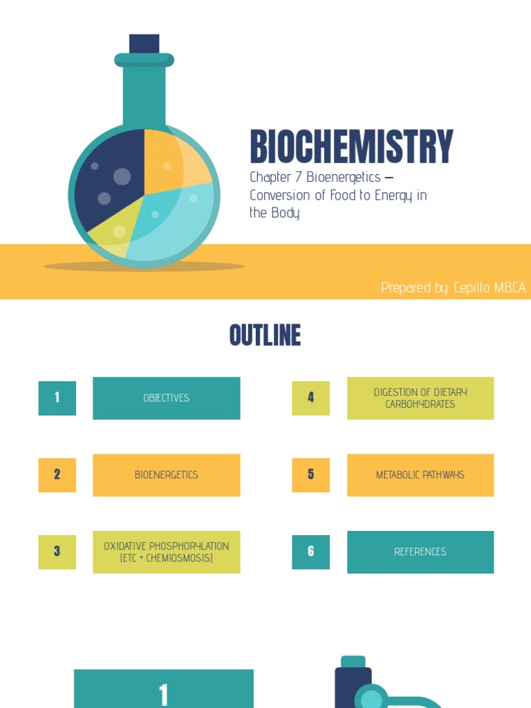 Bioenergetics: Food to Energy Conversion | PDF | Electron Transport ...