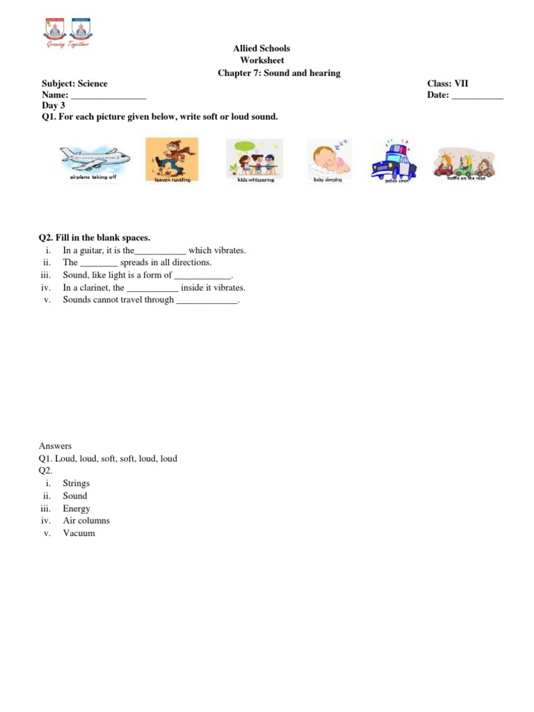 Worksheet Science C7 W5637938440569453810 | PDF