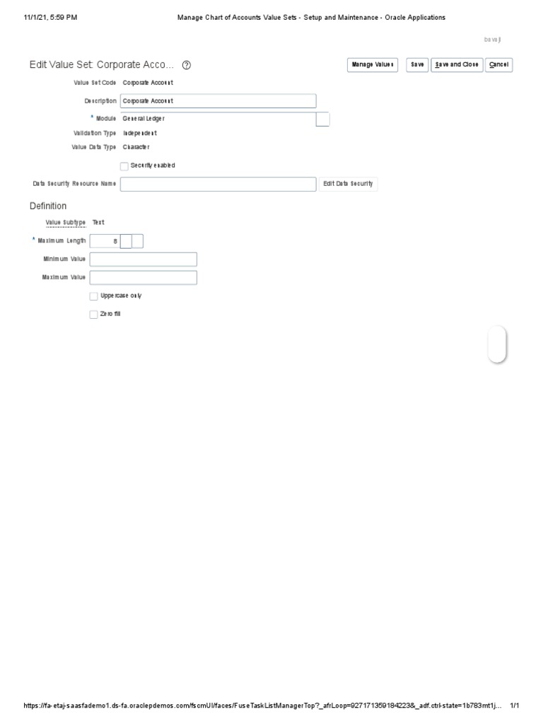 Manage Chart of Accounts Value Sets - Corporate Account | PDF