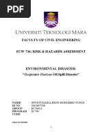 BP Case Study | PDF | Deepwater Horizon Oil Spill | Deepwater Horizon