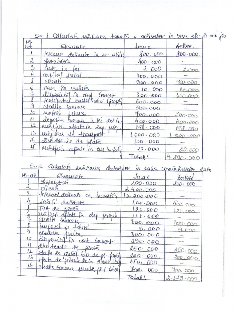 Tema 1 Contabilitate | PDF