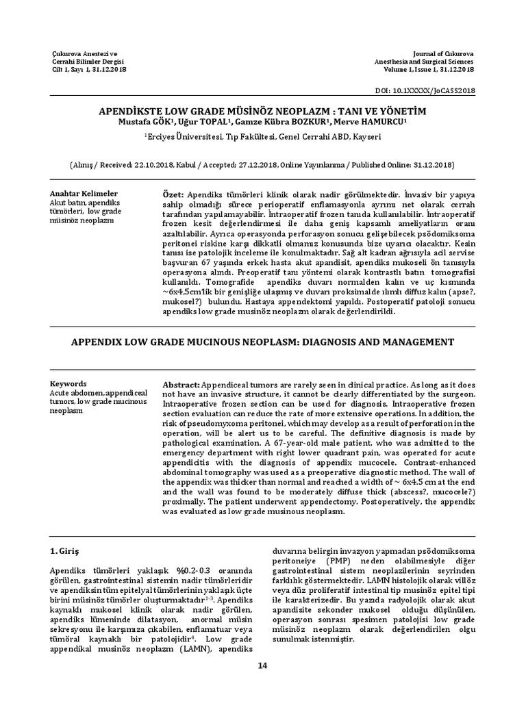 Apendikste Low Grade M - Sin - Z Neoplazm - Tan - Ve y - Netim (#486531) - 617273 | PDF