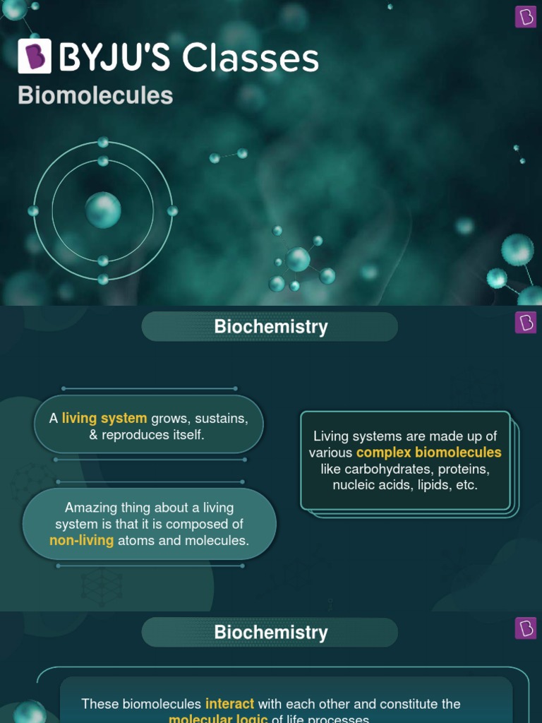 CBSE Class 12 Biomolecule Study Notes | PDF | Carbohydrates | Amino Acid
