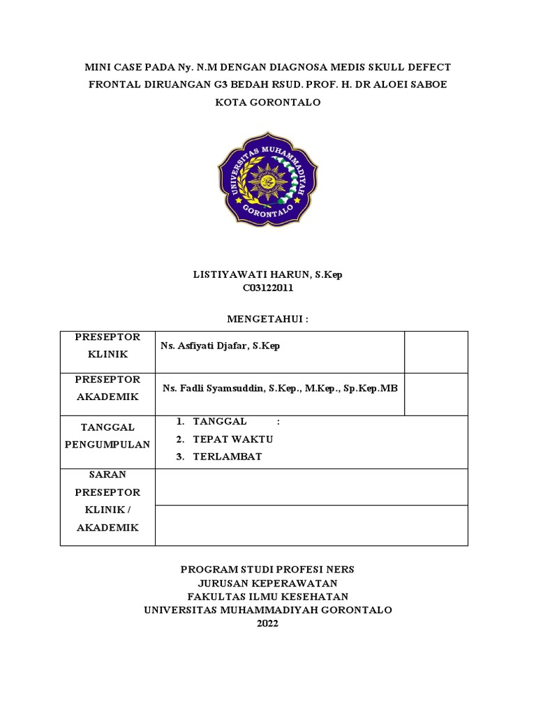 Cover Mini Case | PDF