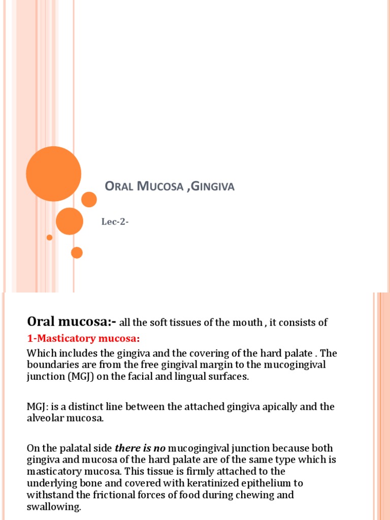 Periodontology Lec 2 Pdf Epithelium Anatomy