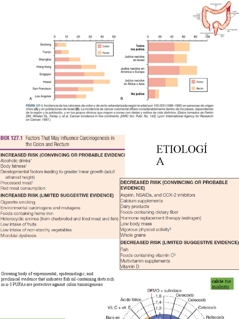 Cancer Colorectal | PDF | Cáncer colonrectal | Carcinogénesis