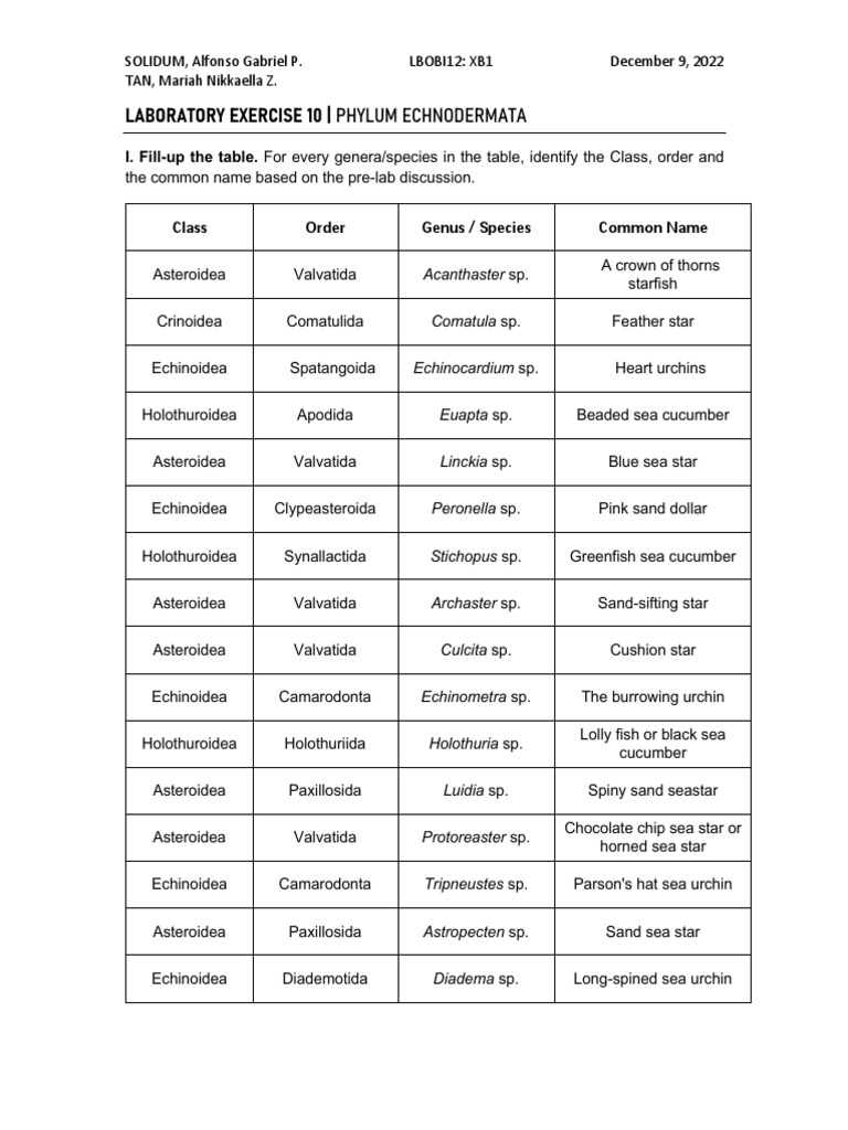 LBOBI12 XB1 Group7 Lab-Activity20 Solidum Tan | PDF | Anatomical Terms Of Location | Organisms
