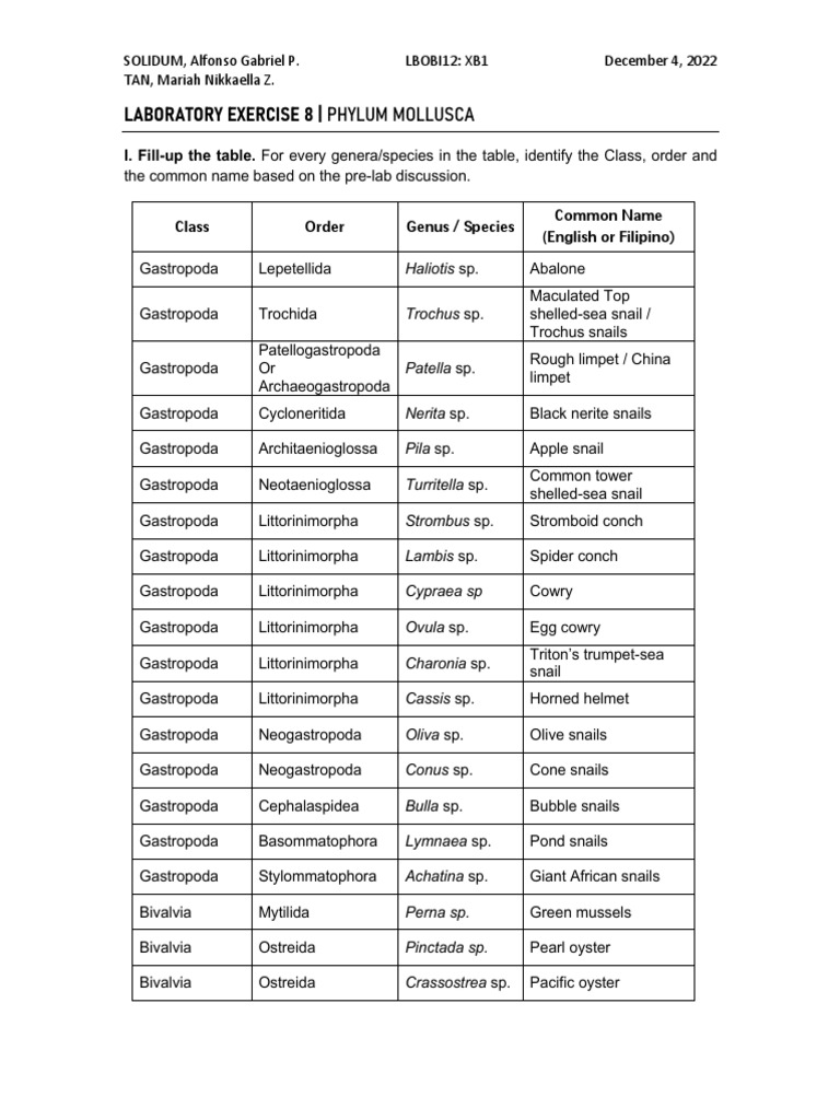 Laboratory Exercise on Phylum Mollusca | PDF | Octopus | Molluscs