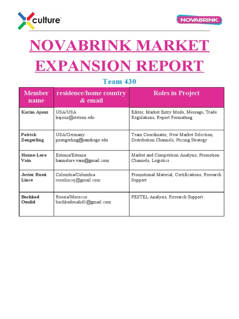 X-Culture Project FINAL | PDF | Retail | Toys
