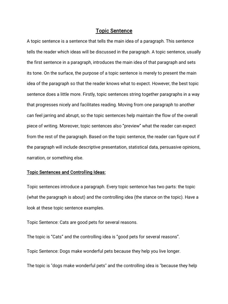 Topic Sentences: Introducing Paragraphs | PDF