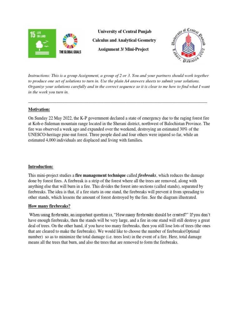 Miniproject Assignment 3 Pdf Area Mathematical Optimization