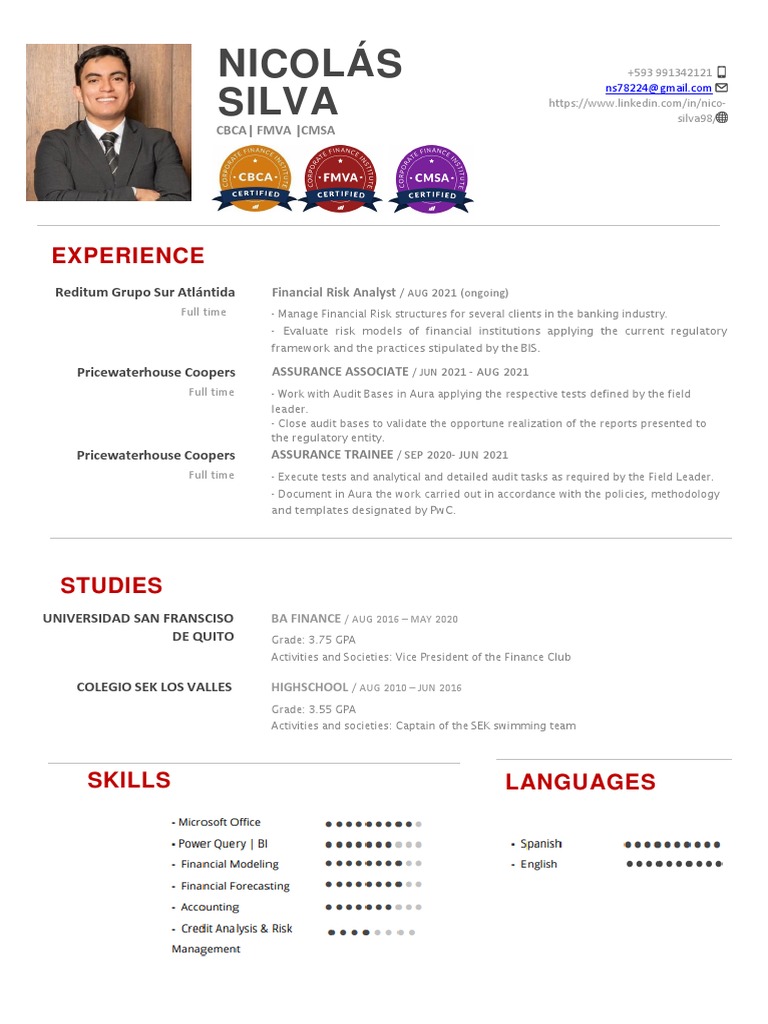 Nicolas Silva-Curriculum-Vitae. | PDF | Financial Analyst | Pricewaterhouse Coopers