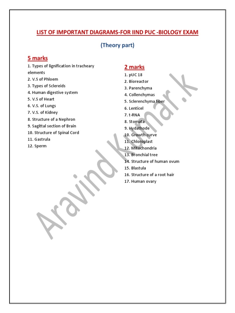 List of Important Diagrams | PDF