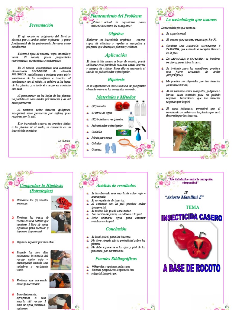 Triptico Insectiida | PDF