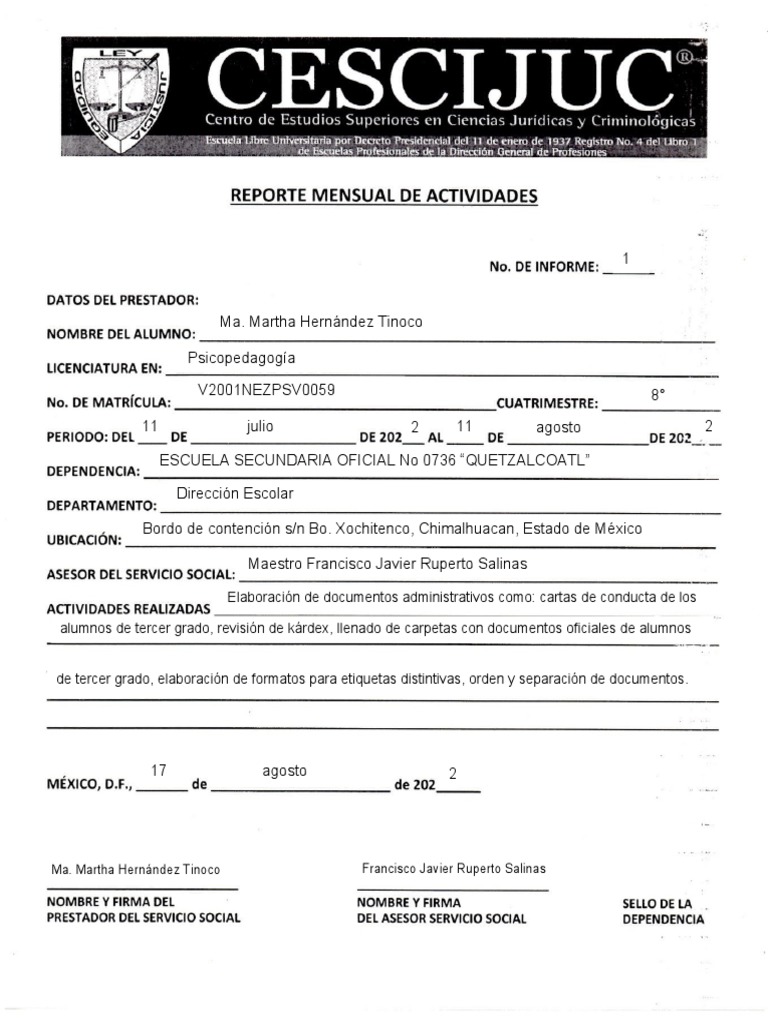 Reporte Mensual 1 | PDF