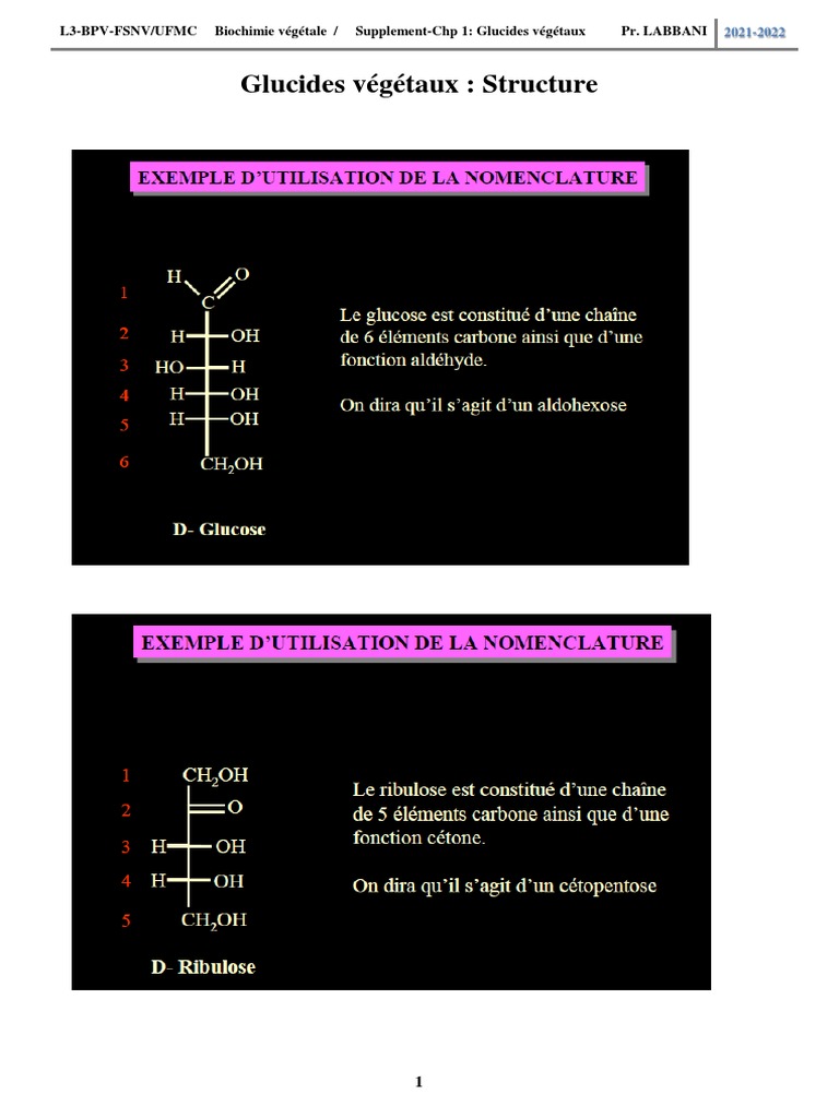 Structure des glucides végétaux | PDF