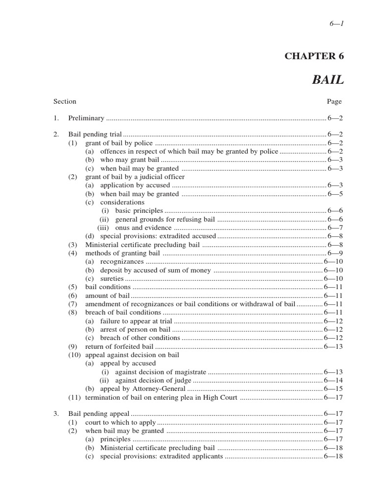 Chapter 6 - Bail | PDF | Bail | Criminal Procedure In South Africa