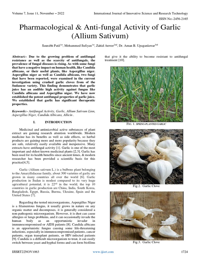 Pharmacological & Anti-Fungal Activity of Garlic (Allium Sativum) | PDF ...
