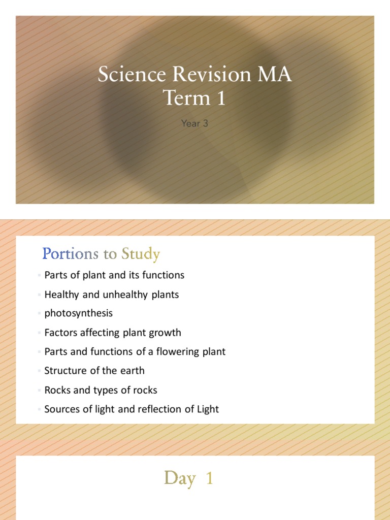 Revision PPT Year 3 | PDF | Rock (Geology) | Plants