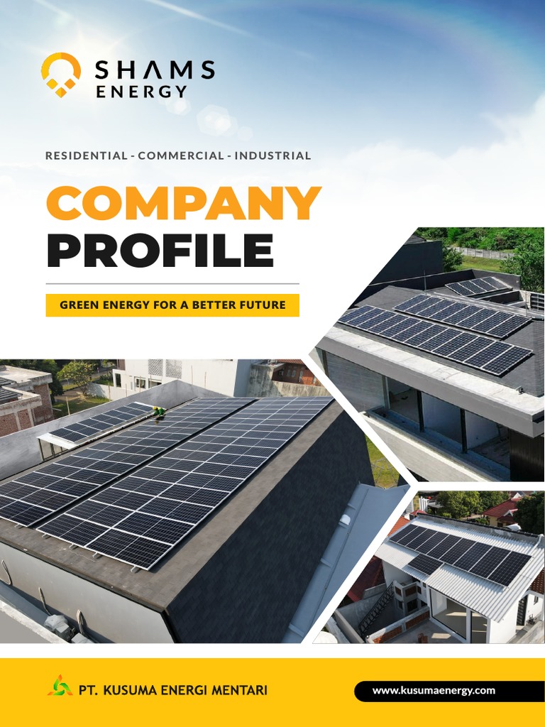 Comp Profile Shams | PDF