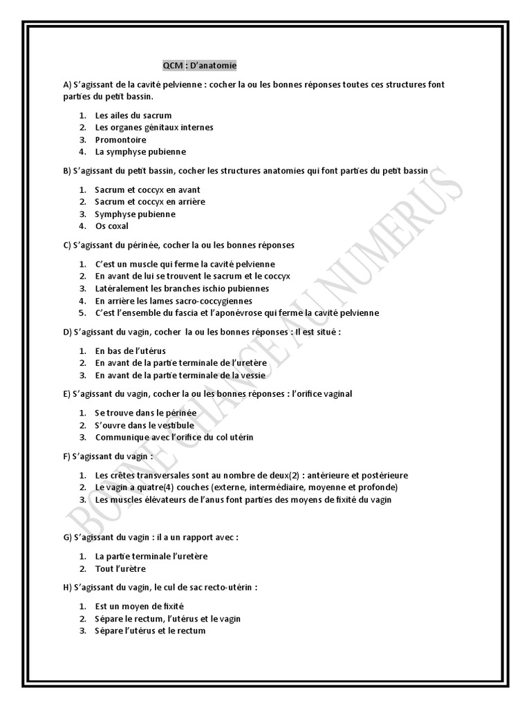 QCM ANATOMIE PR BA | PDF