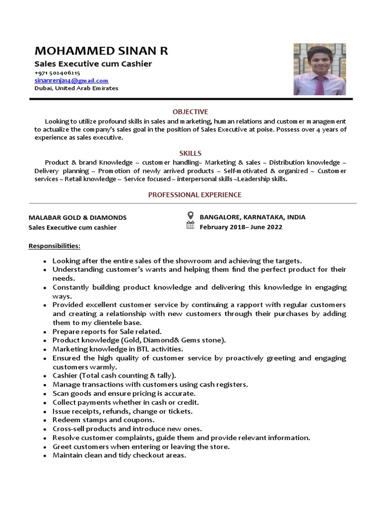 Sinan CV | Download Free PDF | Sales | Marketing