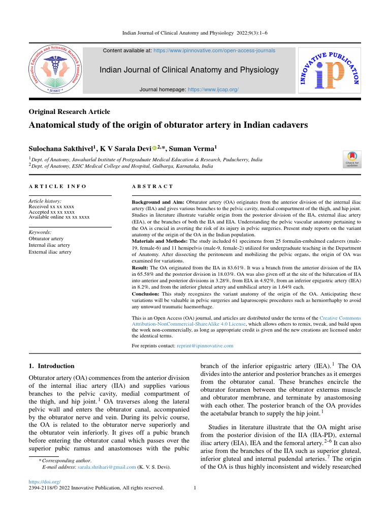 Anatomical Study of The Origin of Obturator Artery in Indian Cadavers ...