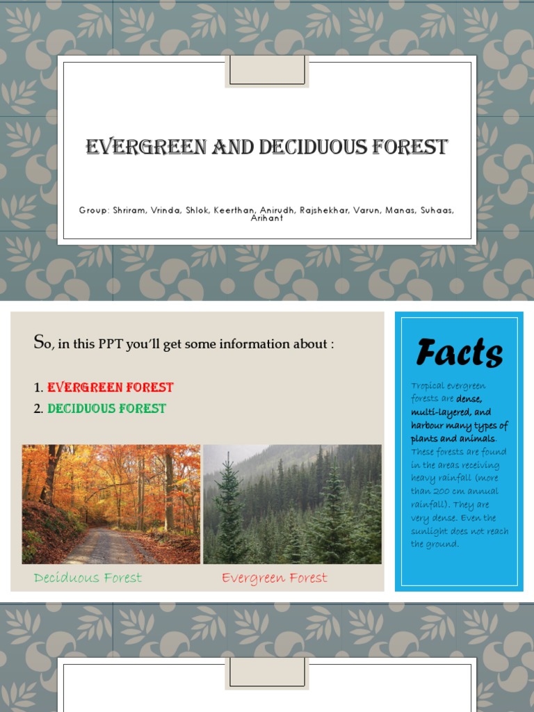 class 9 social project evergreen and deciduous forest | PDF | Forests ...